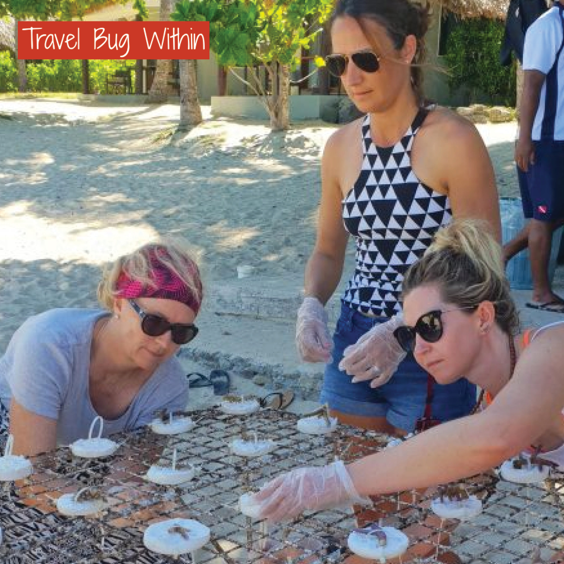 Reef Saving at Castaway Island - Outrigger Resorts & Hotels - Newsroom
